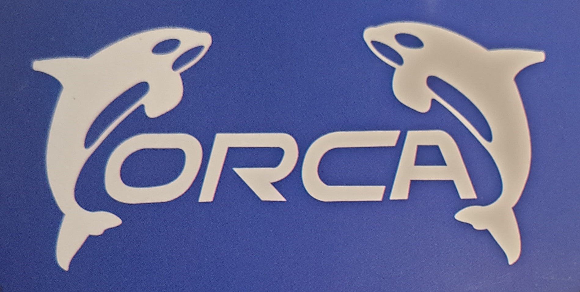 ORCA – pauls_aquariums